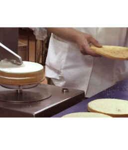 Cake Lines – BELDOS